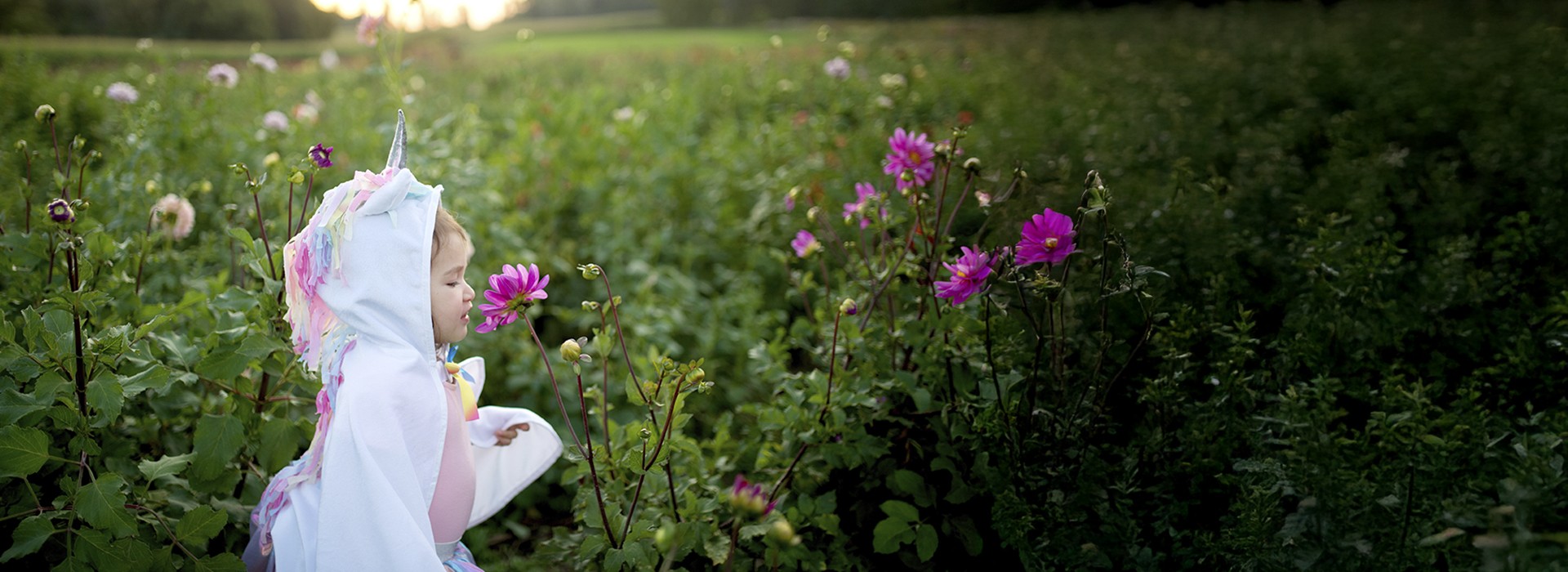 Tienda de juguetes educativos y didácticos para niños